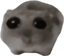 $HAMMY - Sad Hamster Meme